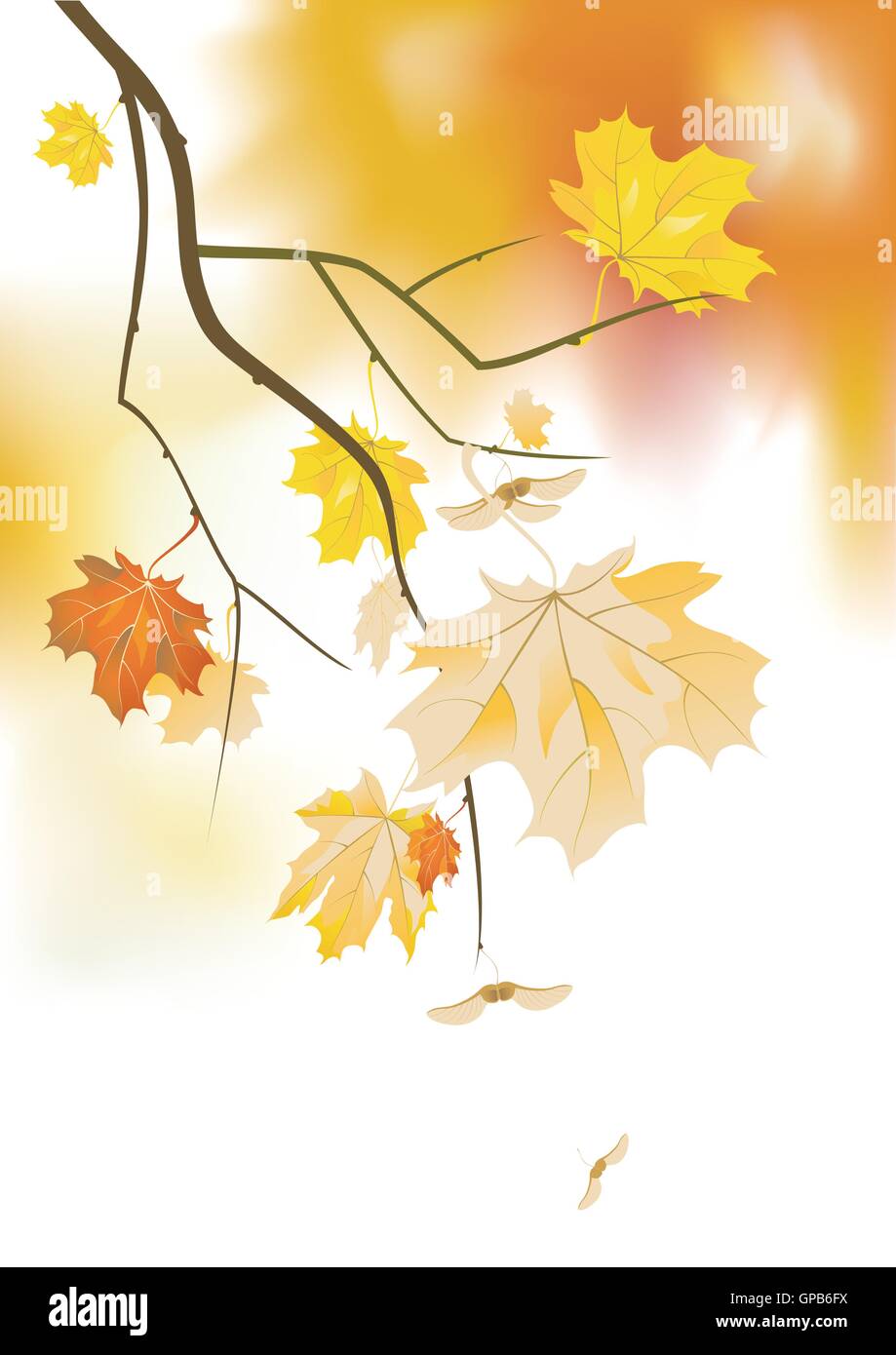 Background autumn forest used Stock Vector Images - Alamy