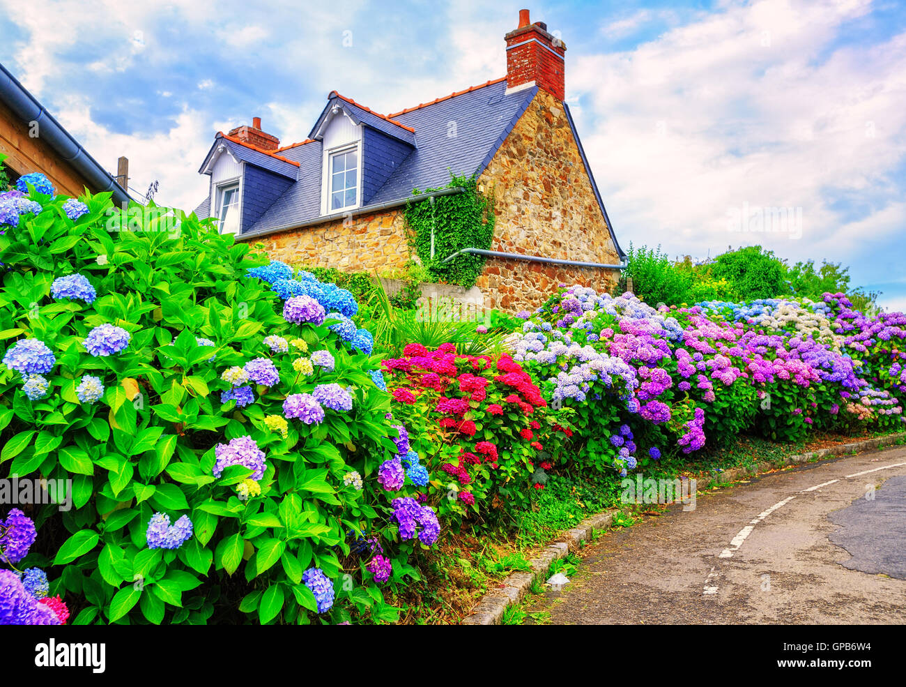 Blue hydrangea fence hi-res stock photography and images - Alamy