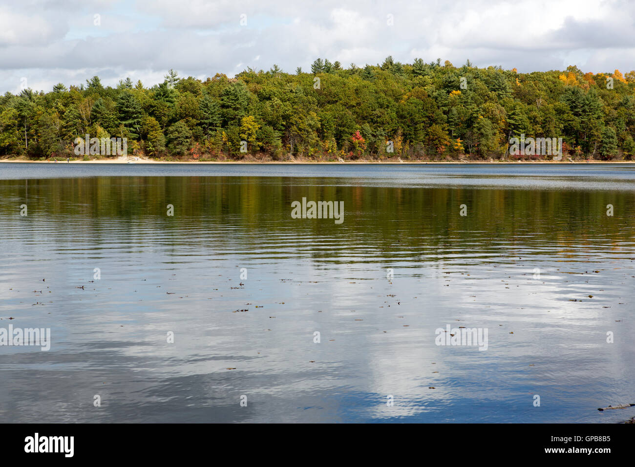 Walden Pond in Massachusetts in autumn Stock Photo - Alamy