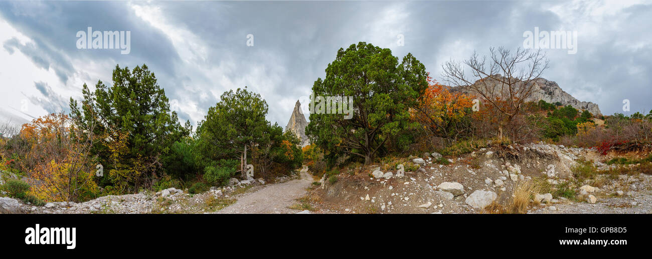 road to the cliff through the trees. panorama Stock Photo - Alamy