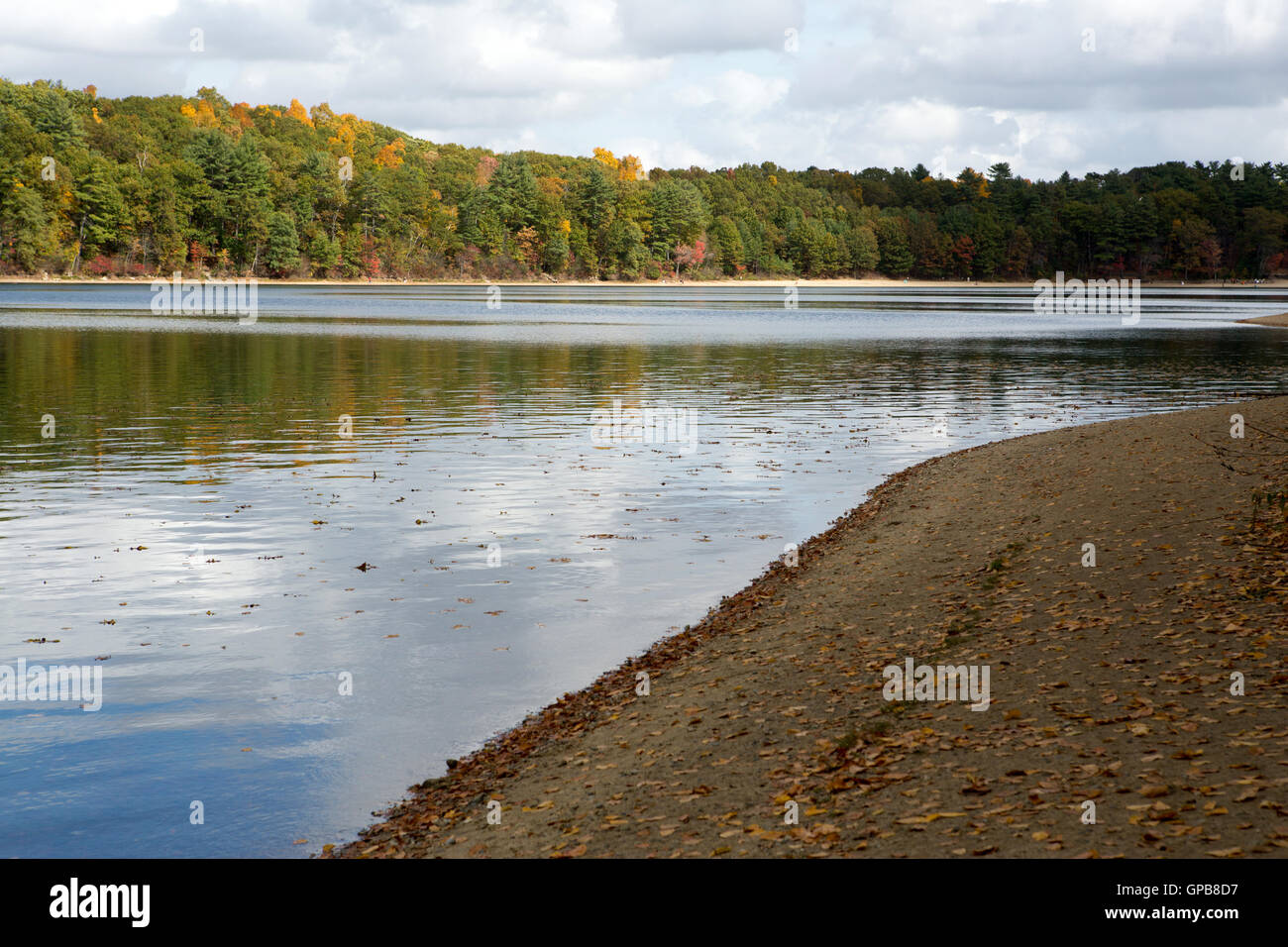 Walden Pond in Massachusetts in autumn Stock Photo - Alamy