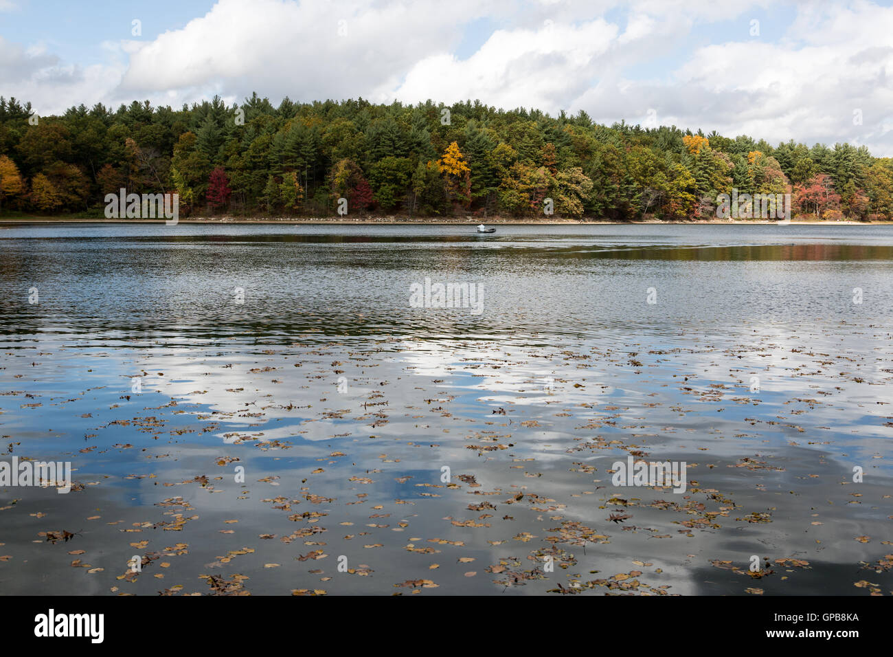 Walden Pond in Massachusetts in autumn Stock Photo - Alamy