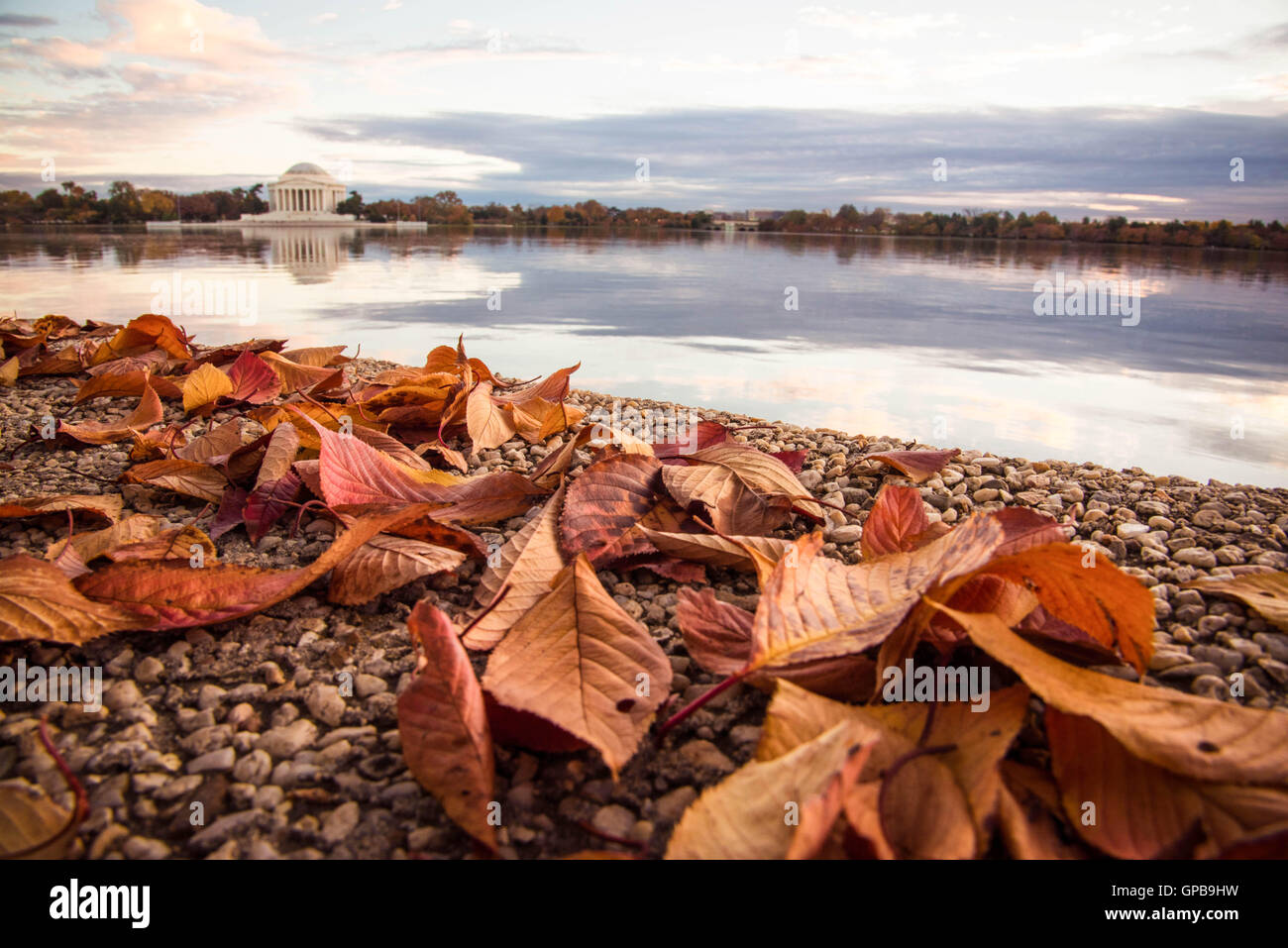 Jefferson Memorial in the Fall Stock Photo - Alamy