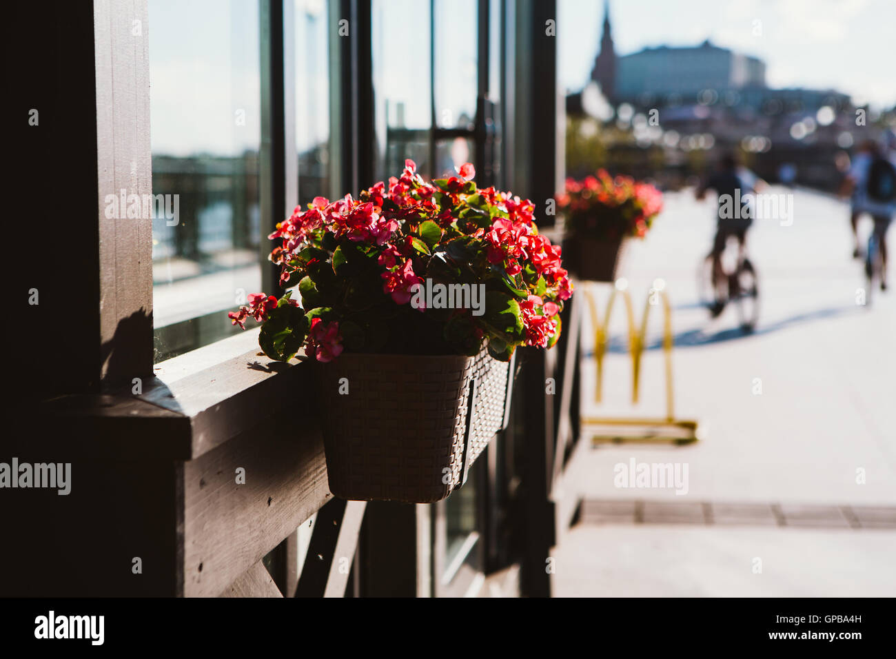 Flower bed window hi-res stock photography and images - Alamy