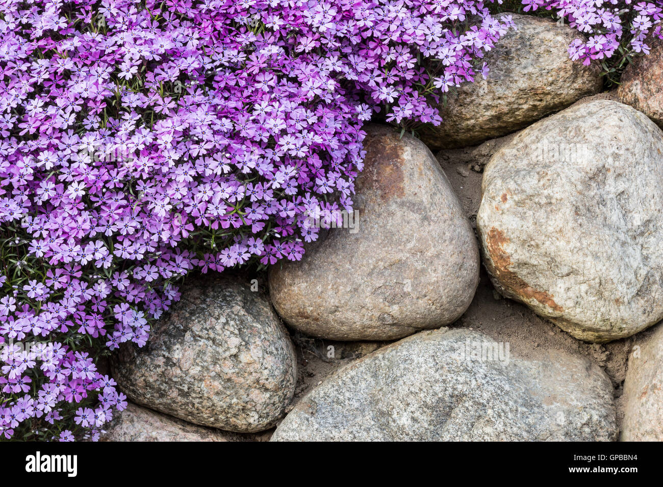 Natural biotop hi-res stock photography and images - Alamy