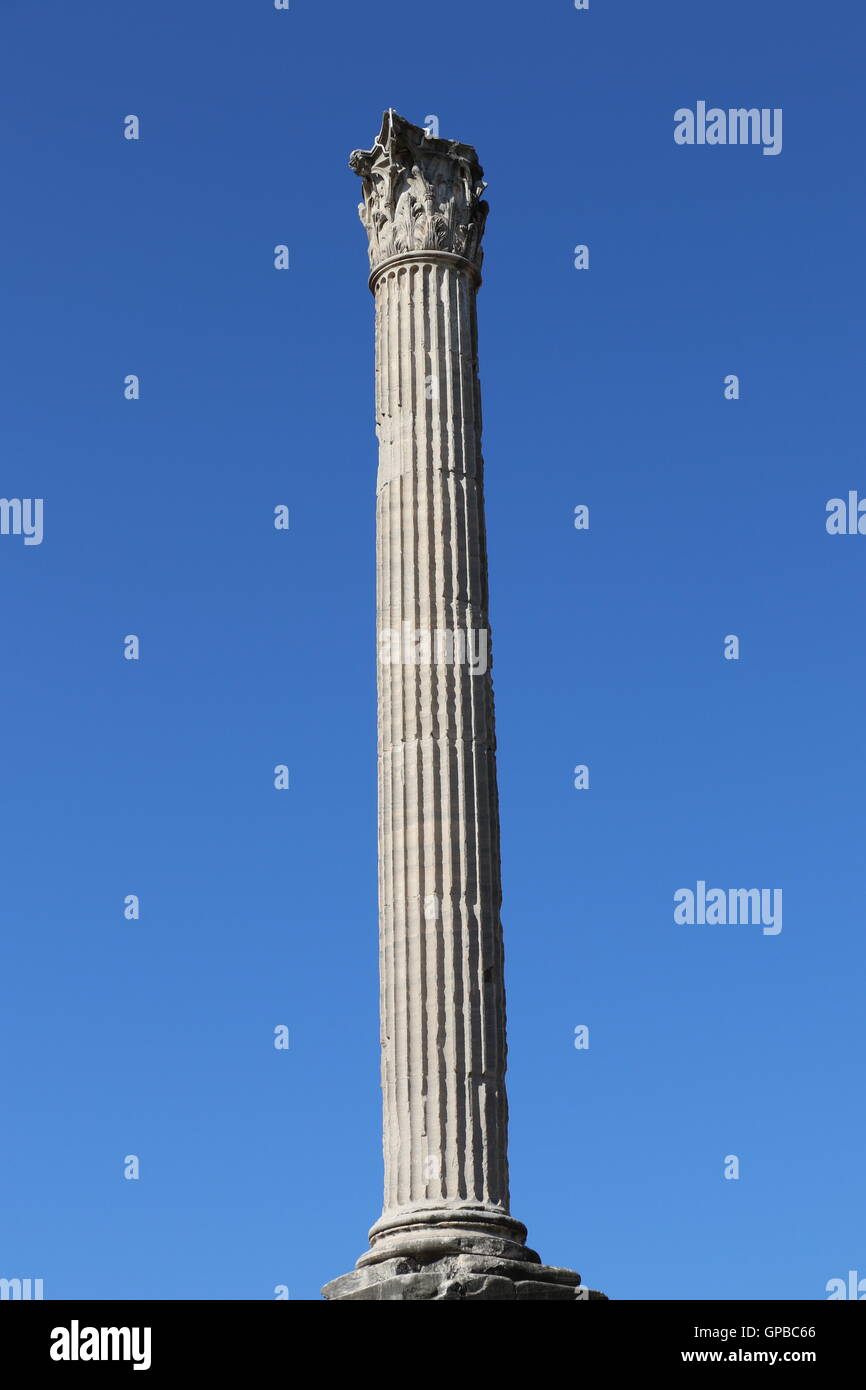 The column of Phocas in the Roman forum Stock Photo - Alamy