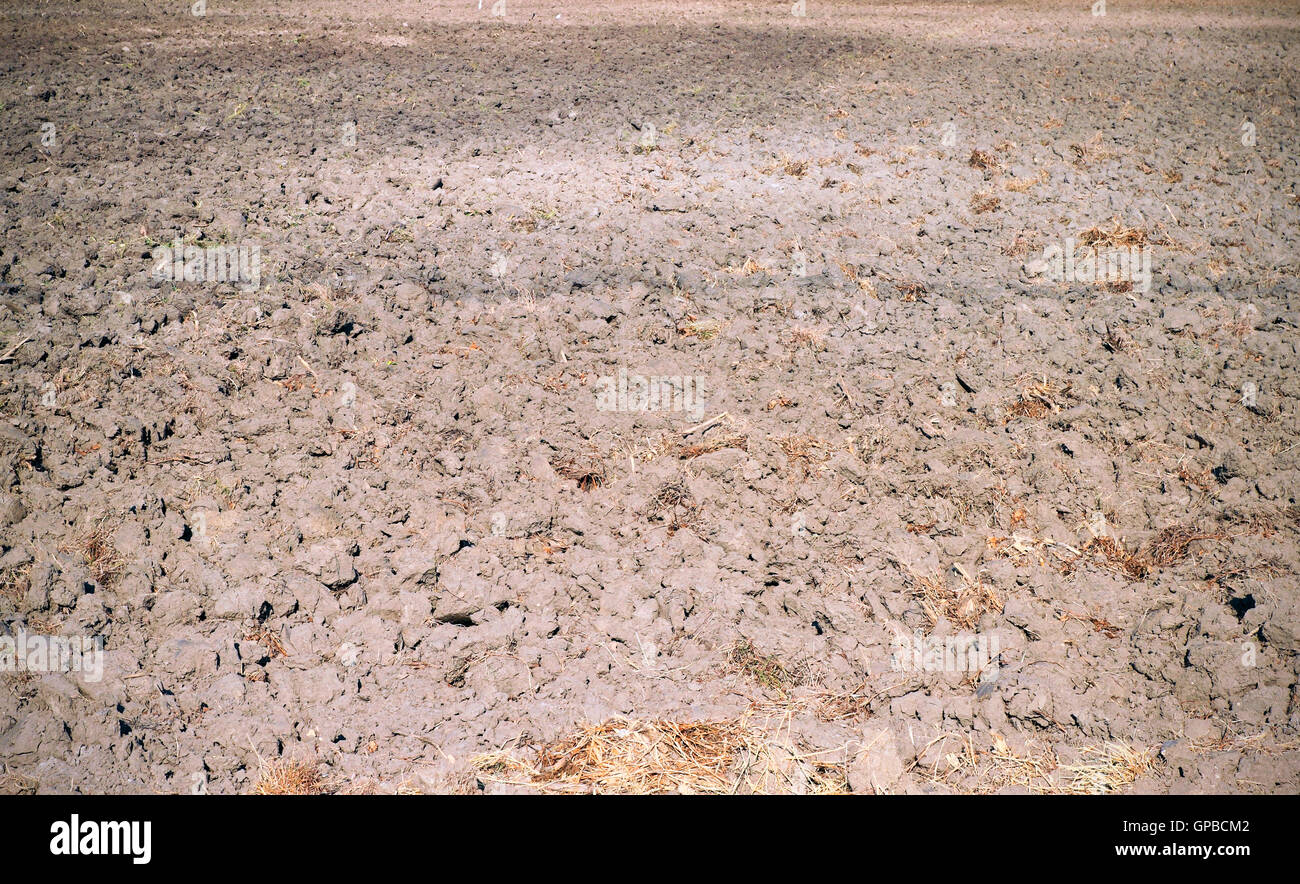Empty field dark soil hi-res stock photography and images - Alamy