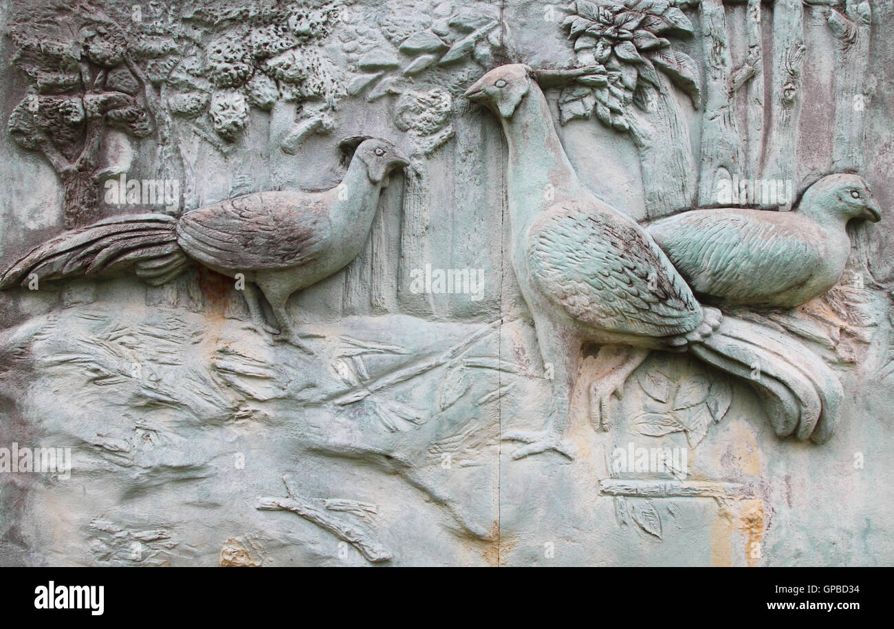 detail of bird texture at stone wall Stock Photo - Alamy