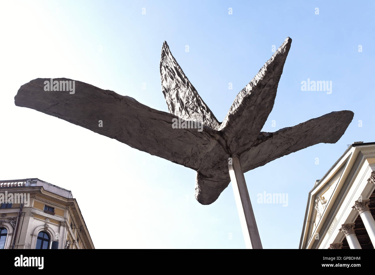 Big flying bird hi-res stock photography and images - Alamy