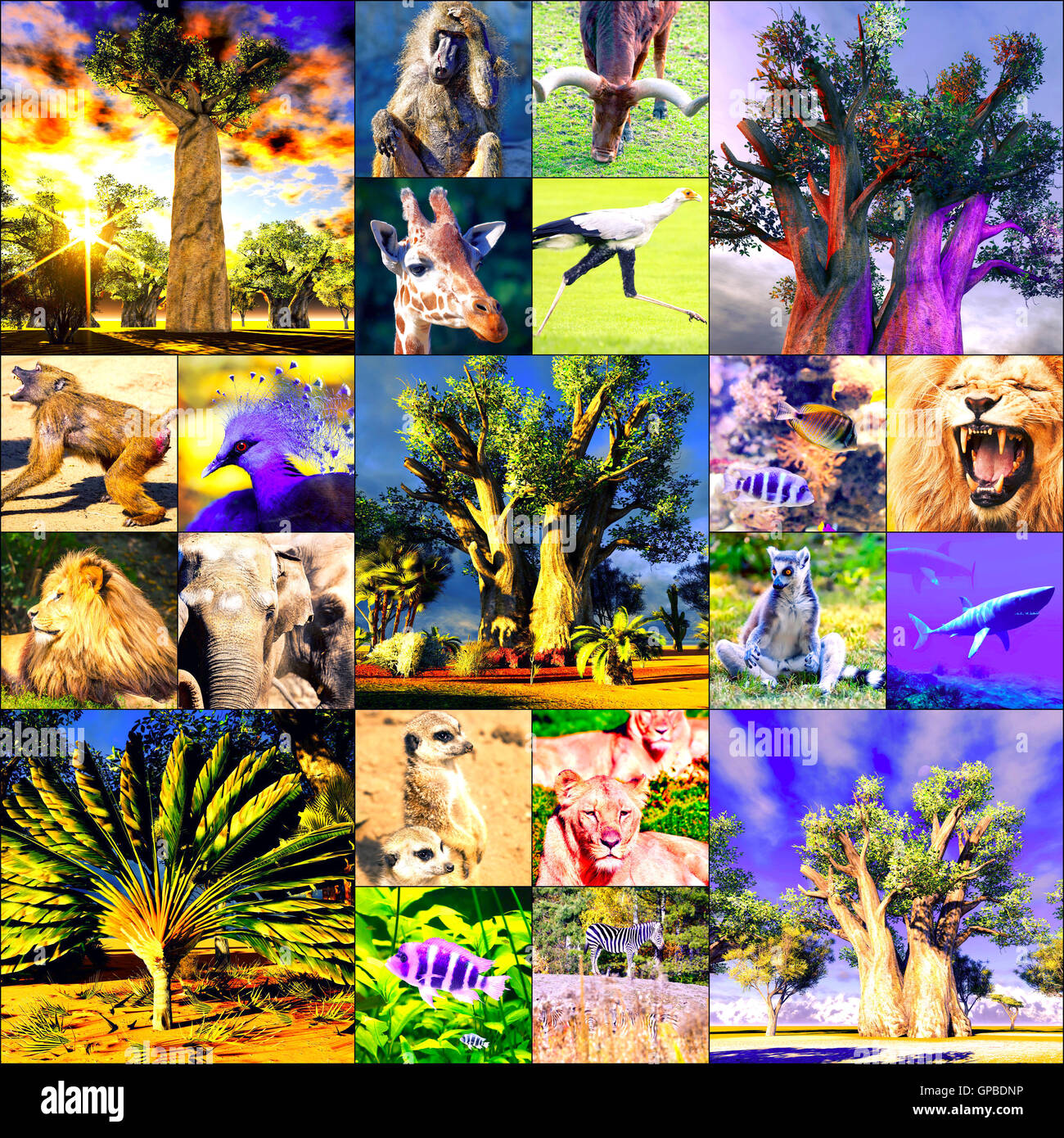 Different animals collage on postcards Stock Photo - Alamy