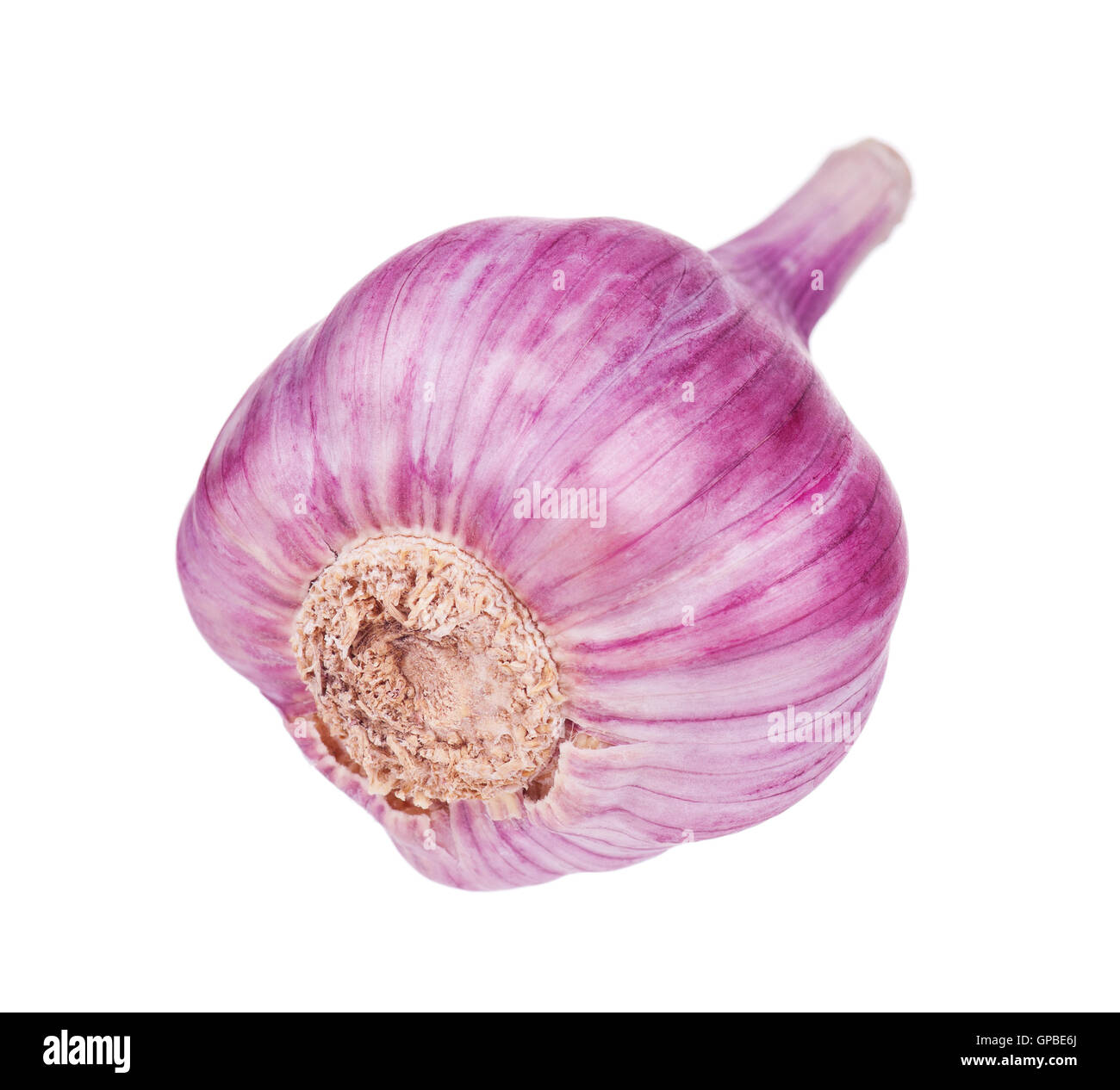 Clean garlic bulb hi-res stock photography and images - Alamy