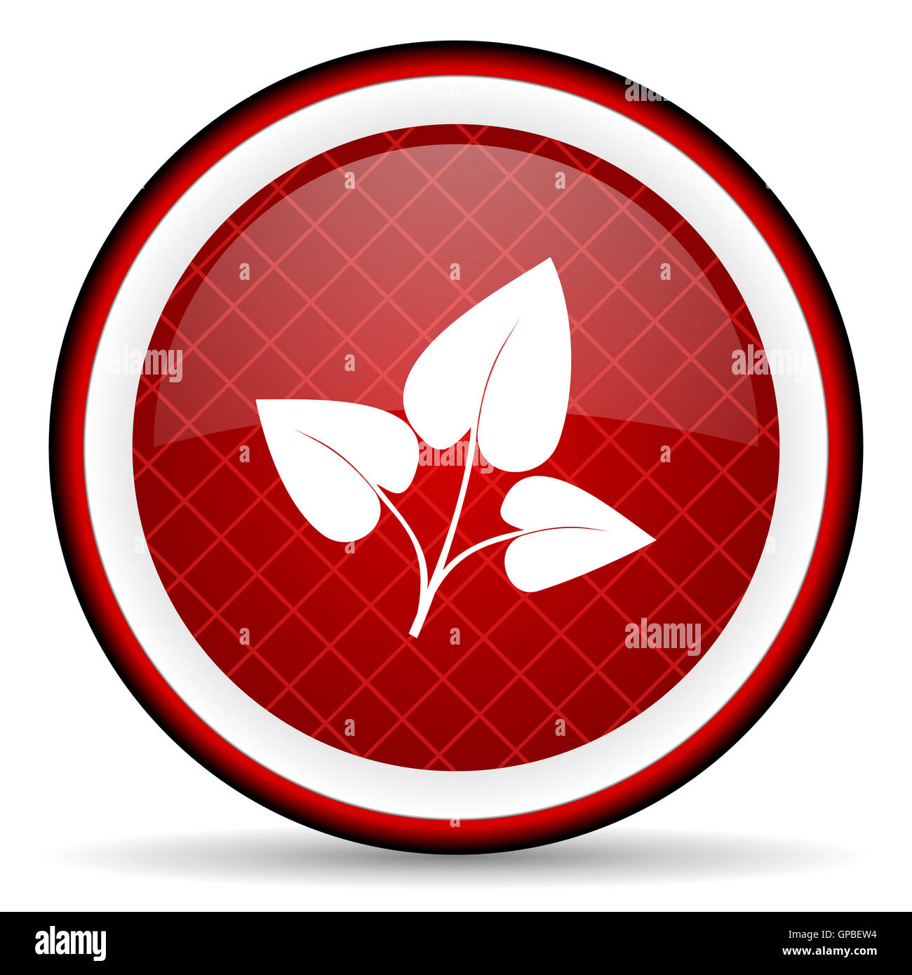 eco red glossy icon on white background Stock Photo - Alamy