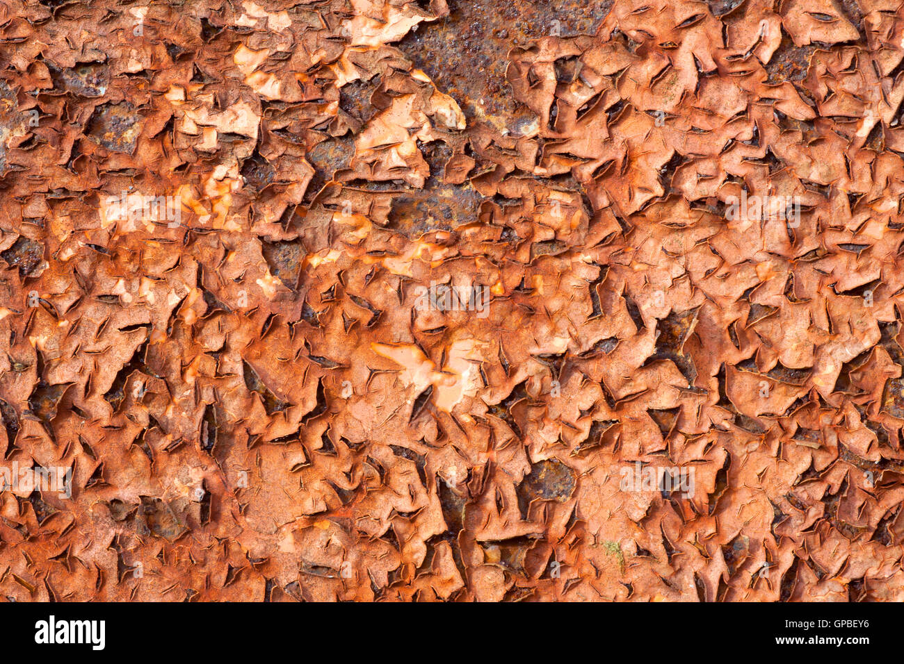 detail of rust and orange paint on metal Stock Photo - Alamy