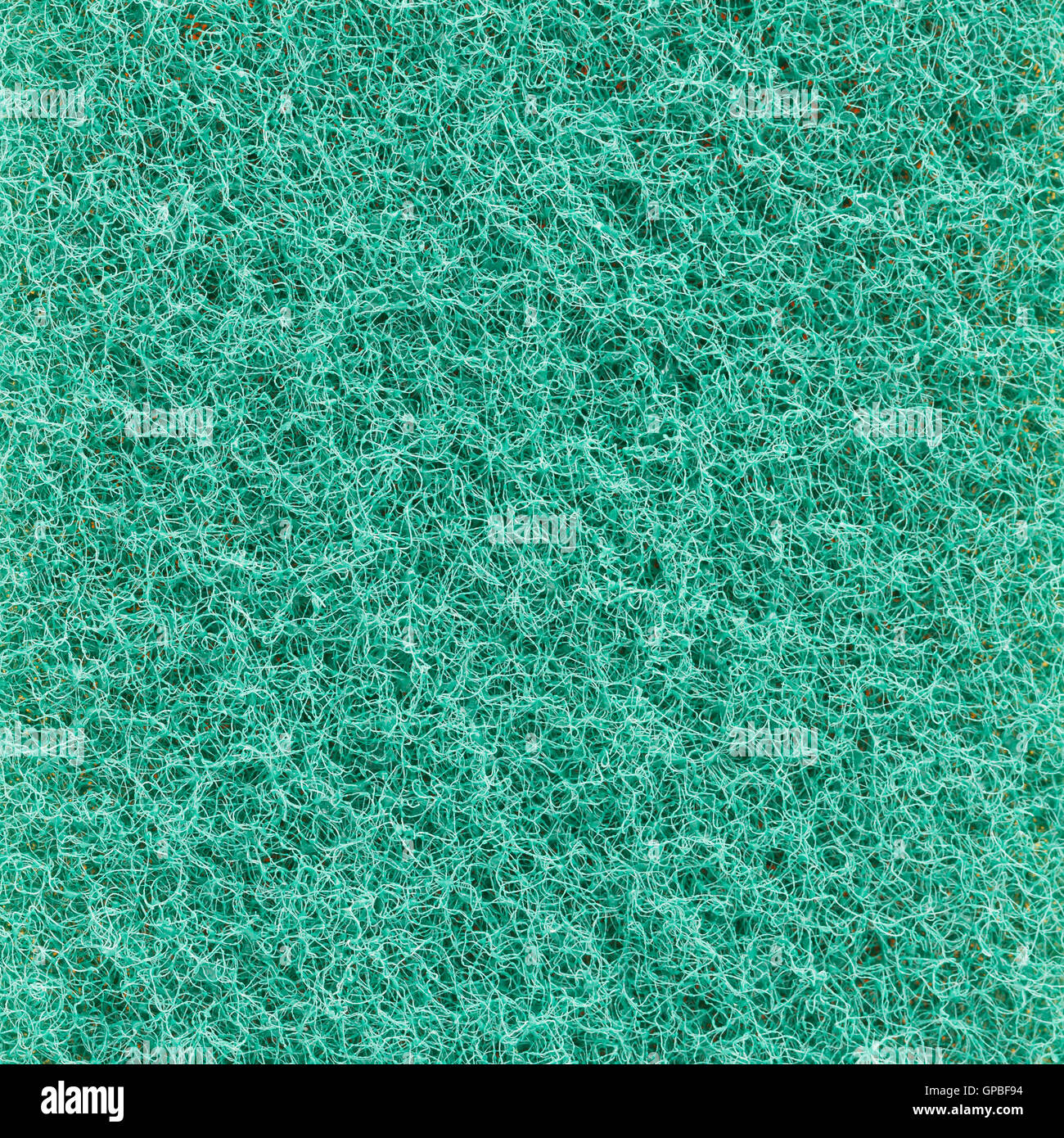 Kitchen sponge isolated Stock Photo - Alamy