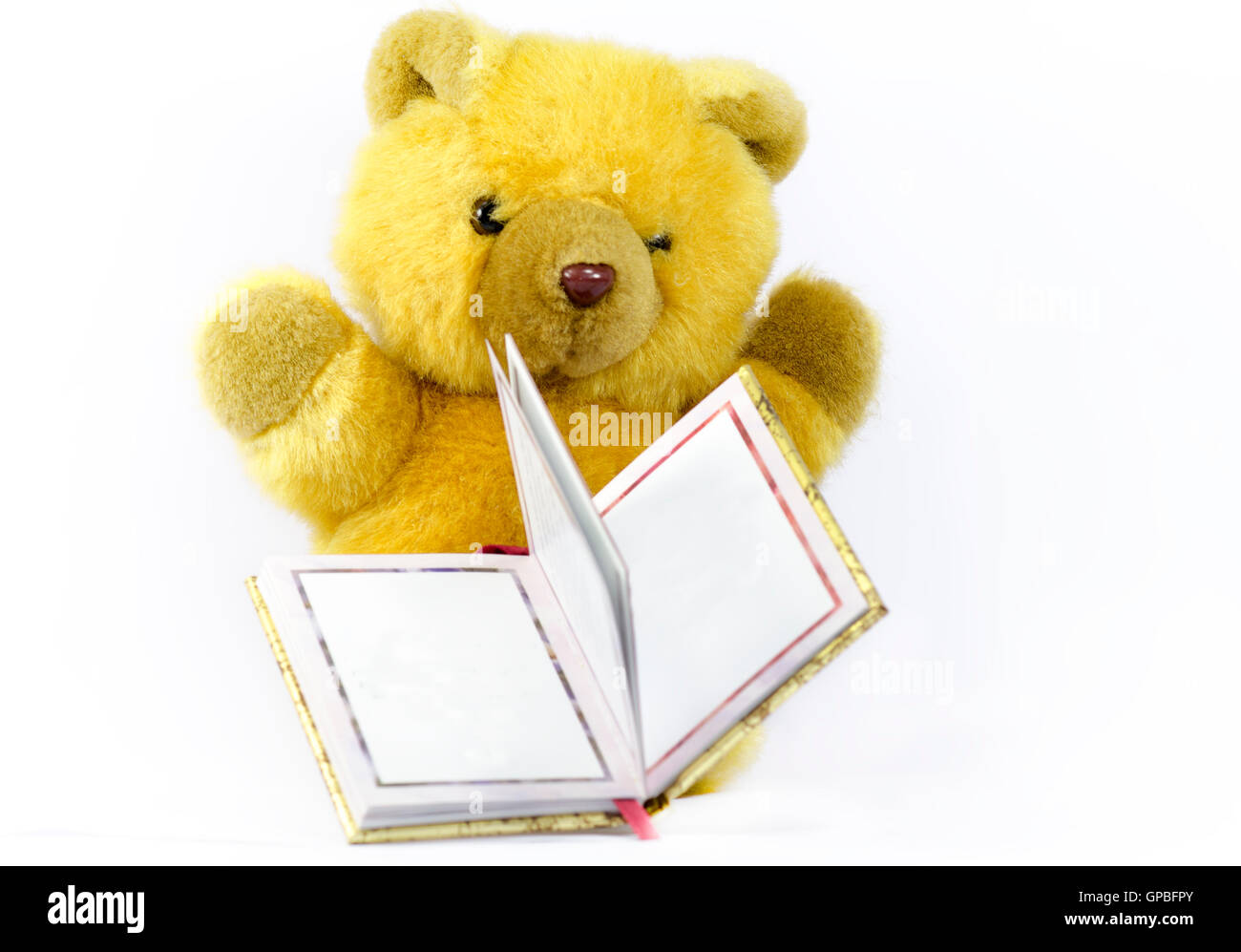 The teddy bear book hi-res stock photography and images - Alamy