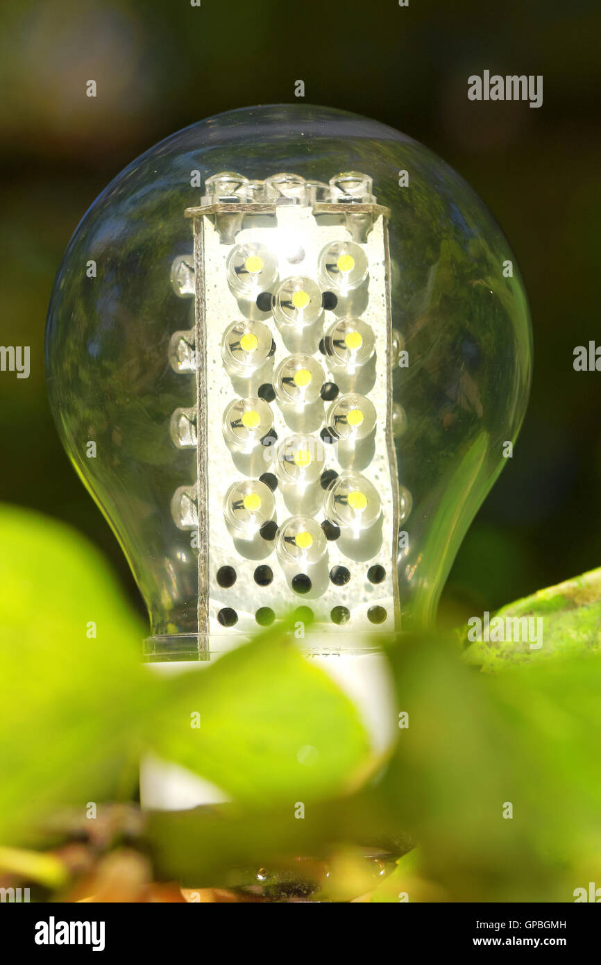 Green glass bulb hi-res stock photography and images - Alamy