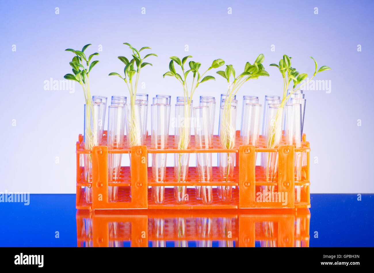 Experiment tree science engineering hi-res stock photography and images ...
