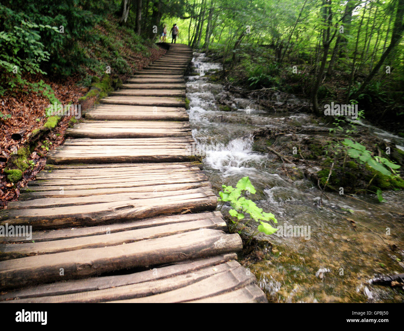PLITVICE, CROATIA: Wooden Bridge inside the national park of Plitvice ...