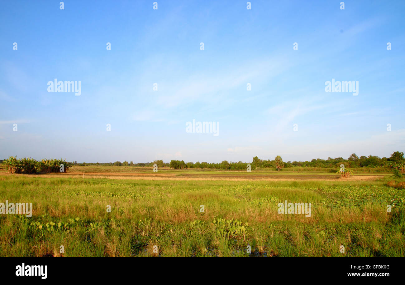 Rural landscape in country side Stock Photo - Alamy