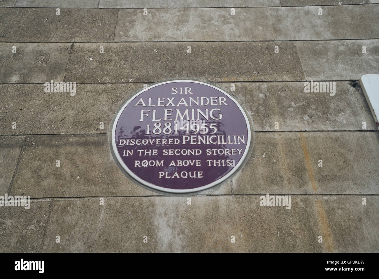 Alexander fleming hi-res stock photography and images - Alamy