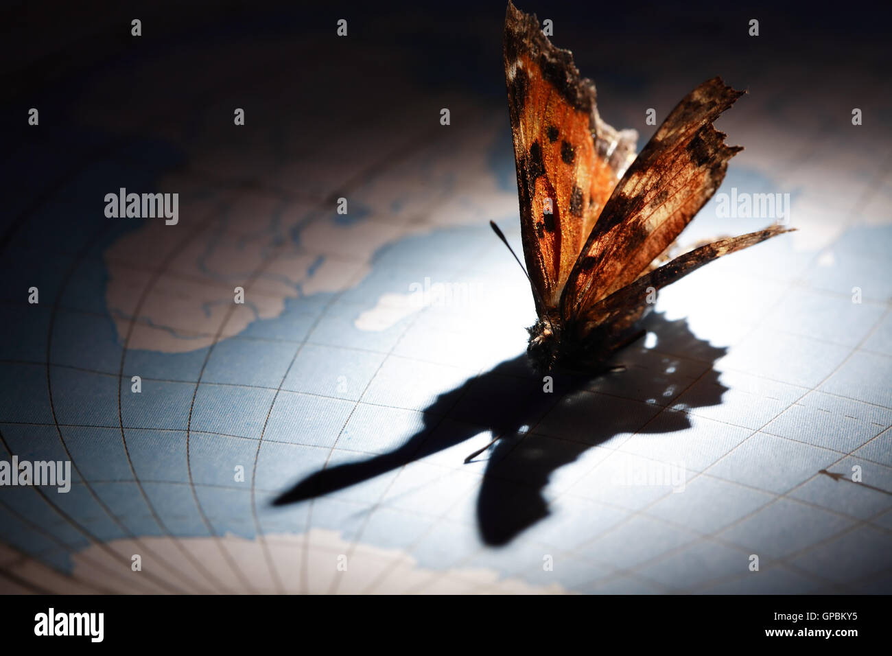 Beauty map hi-res stock photography and images - Alamy