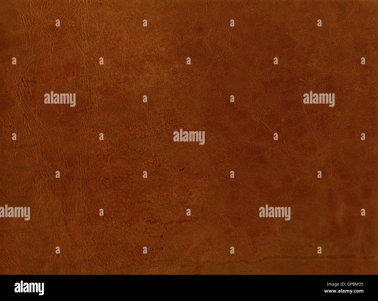 Leather texture hi-res stock photography and images - Alamy