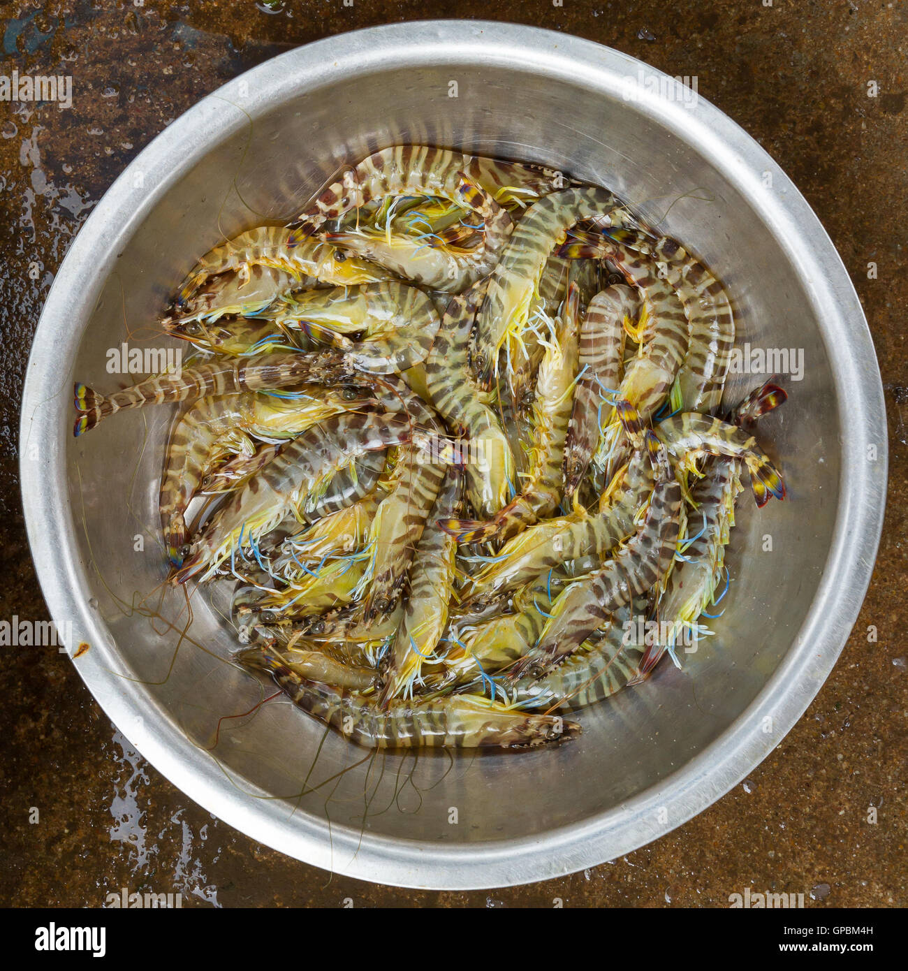 Live fish vietnamese restaurant hi-res stock photography and images - Alamy