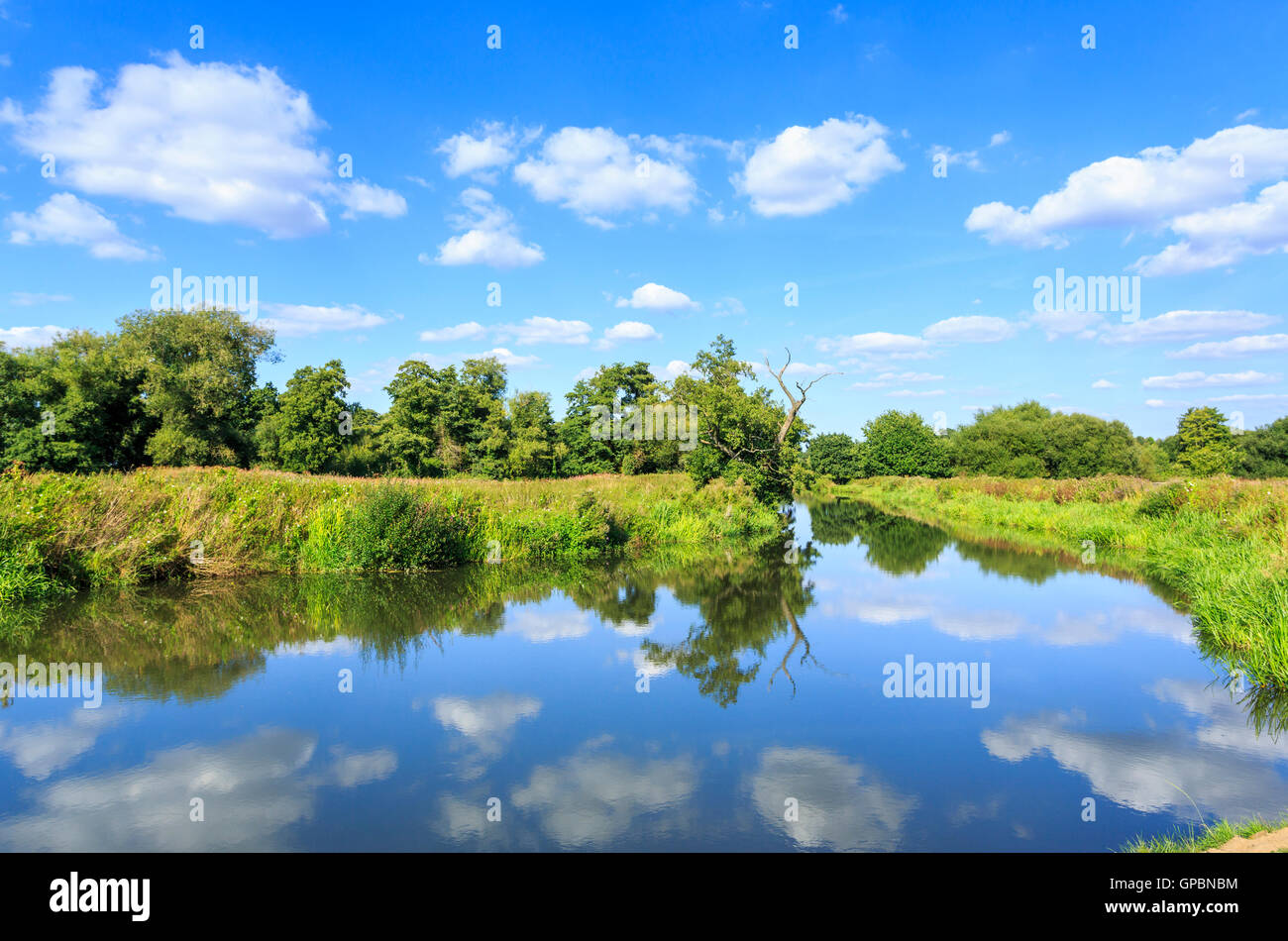 View of the Wey Navigation near Send, Surrey in summer with reflections ...