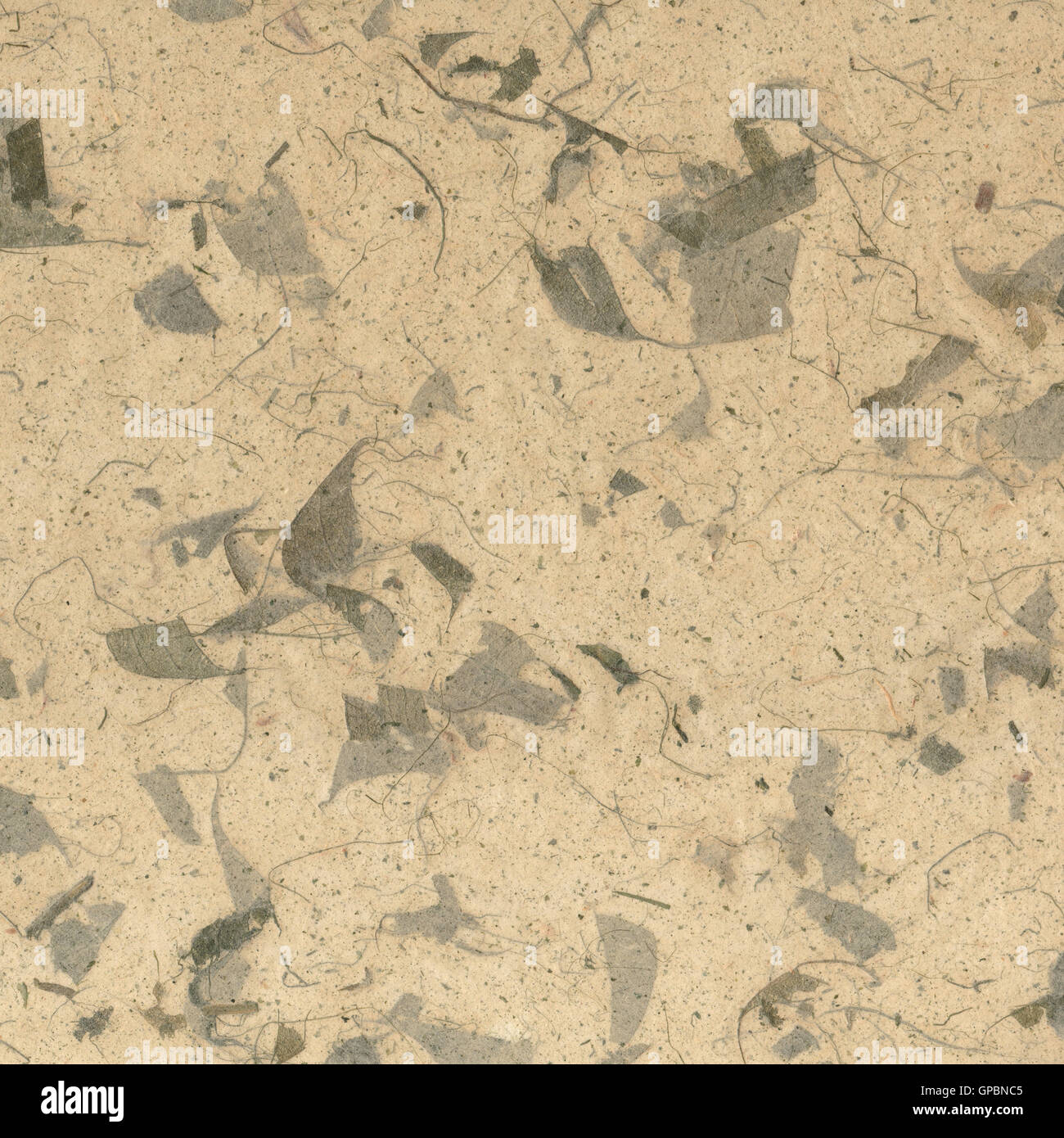 mulberry paper from nature texture background with leaf Stock Photo - Alamy