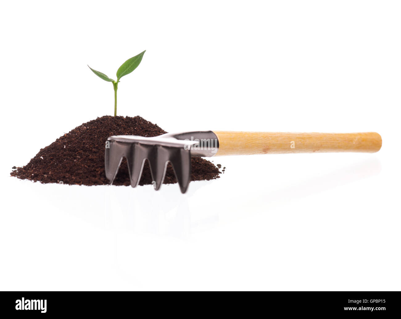 Soil growing green cutout hi-res stock photography and images - Alamy