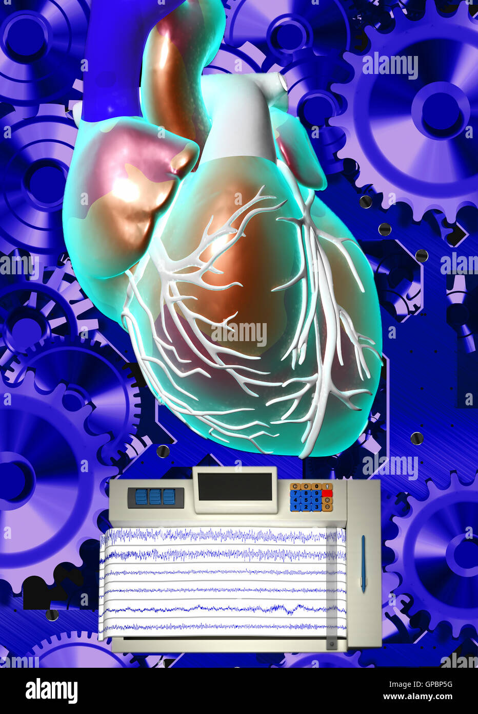 Human heart model hi-res stock photography and images - Alamy