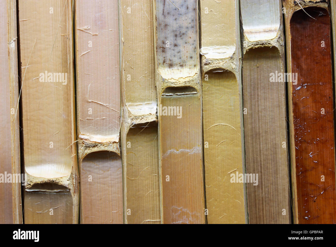 bamboo wall texture , close up Stock Photo - Alamy