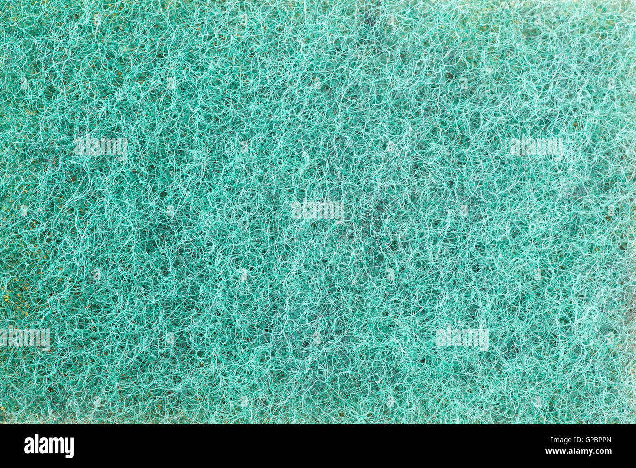 closeup of green spunge Stock Photo - Alamy