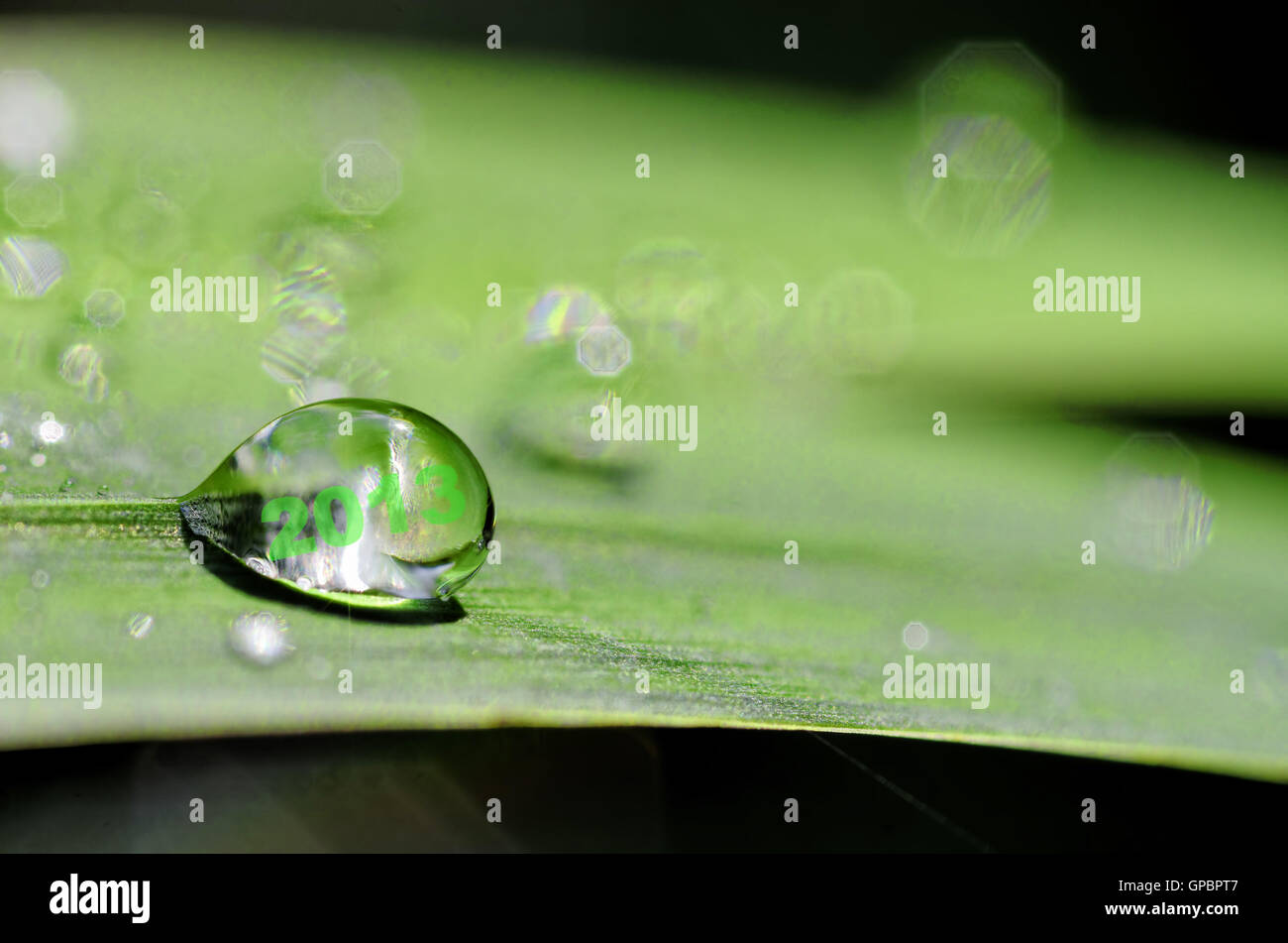 natural new year Stock Photo - Alamy
