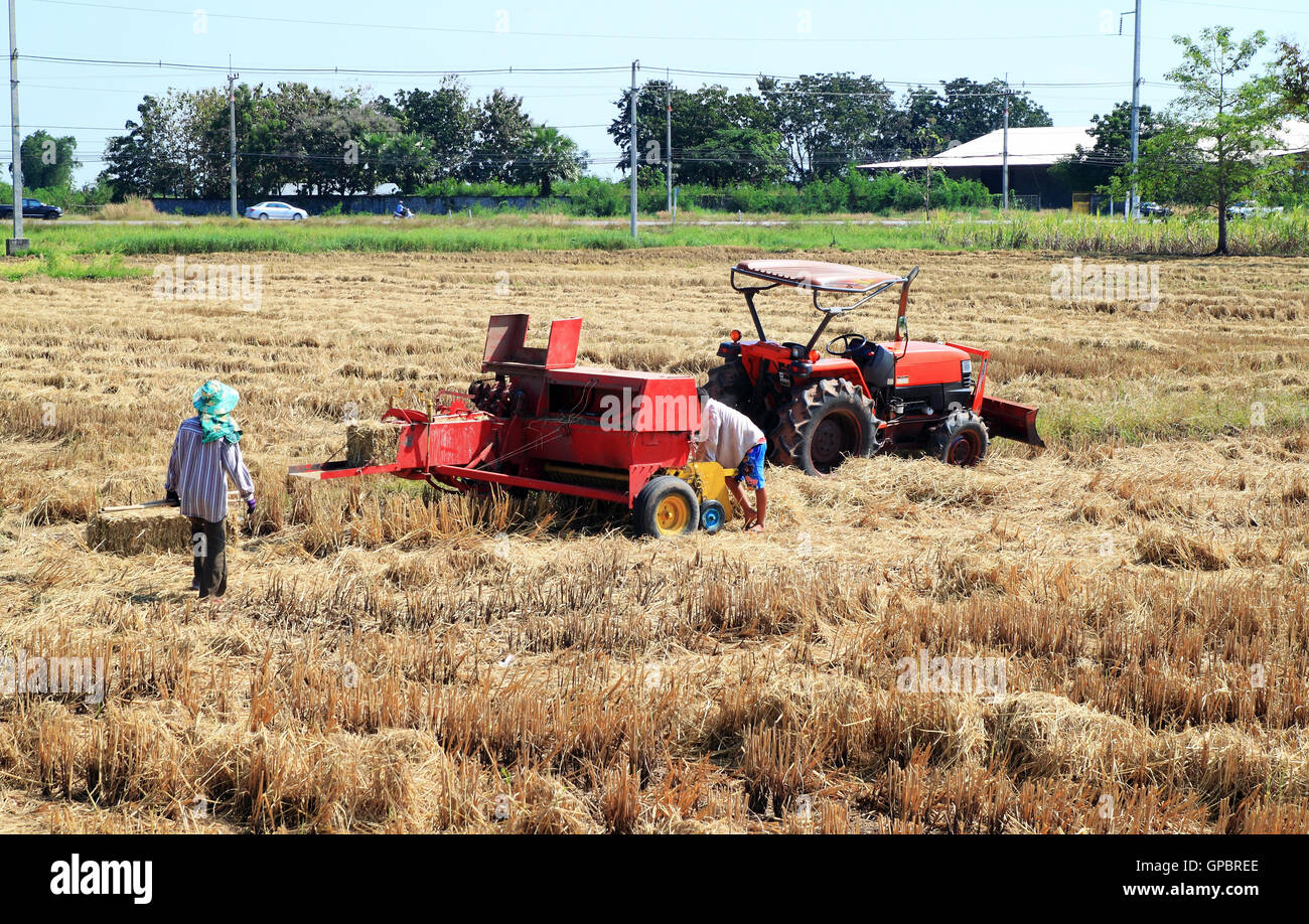 farmer and tractor packing straw in the field at Thailand Stock Photo ...
