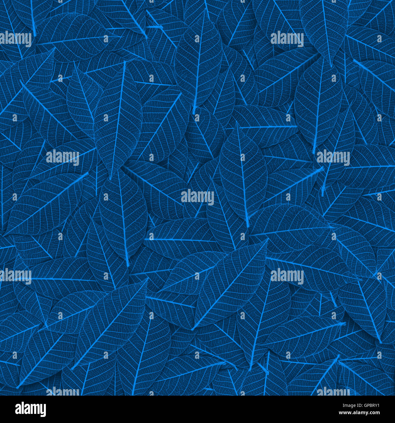 blue transparent leaf pattern Stock Photo - Alamy