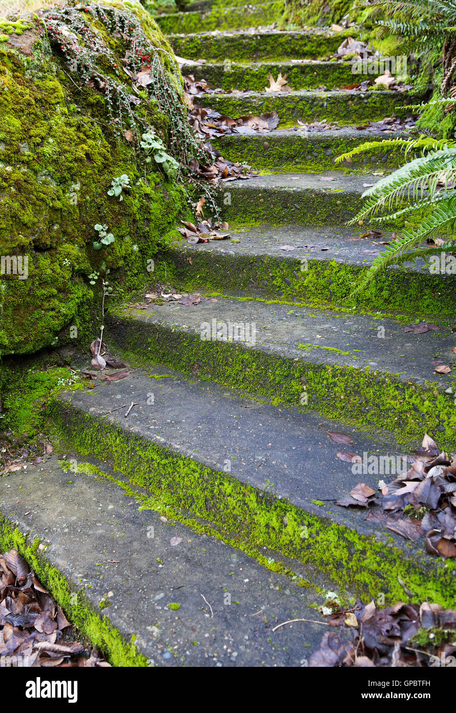 Cement curved steps hi-res stock photography and images - Alamy