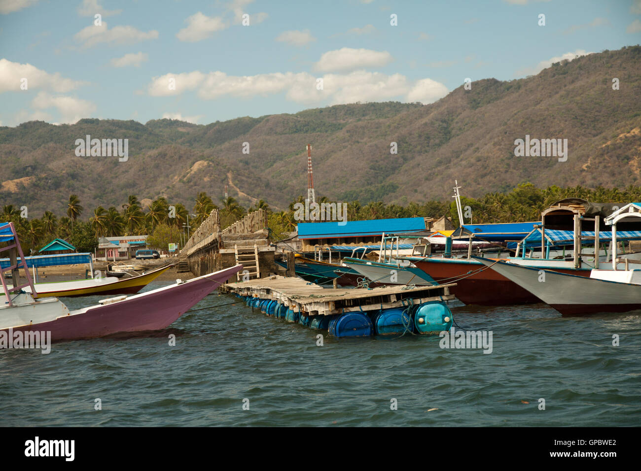 Simple coconut palm beach hi-res stock photography and images - Alamy