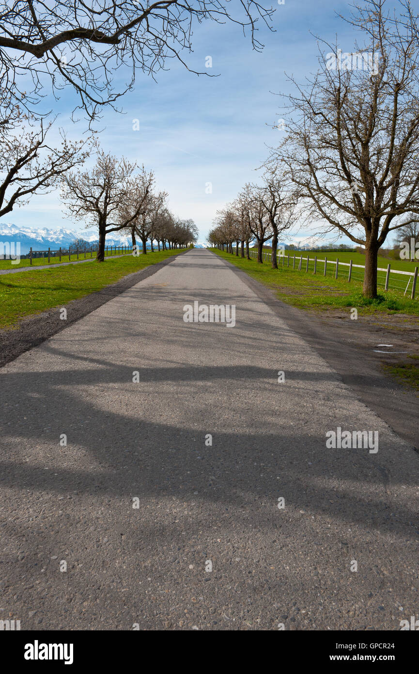 Straight Road Stock Photo - Alamy