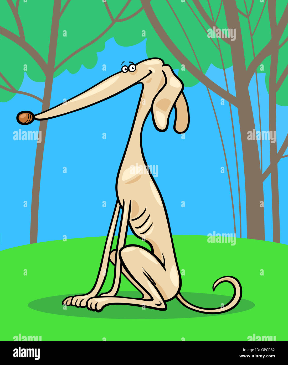 greyhound dog cartoon illustration Stock Photo - Alamy