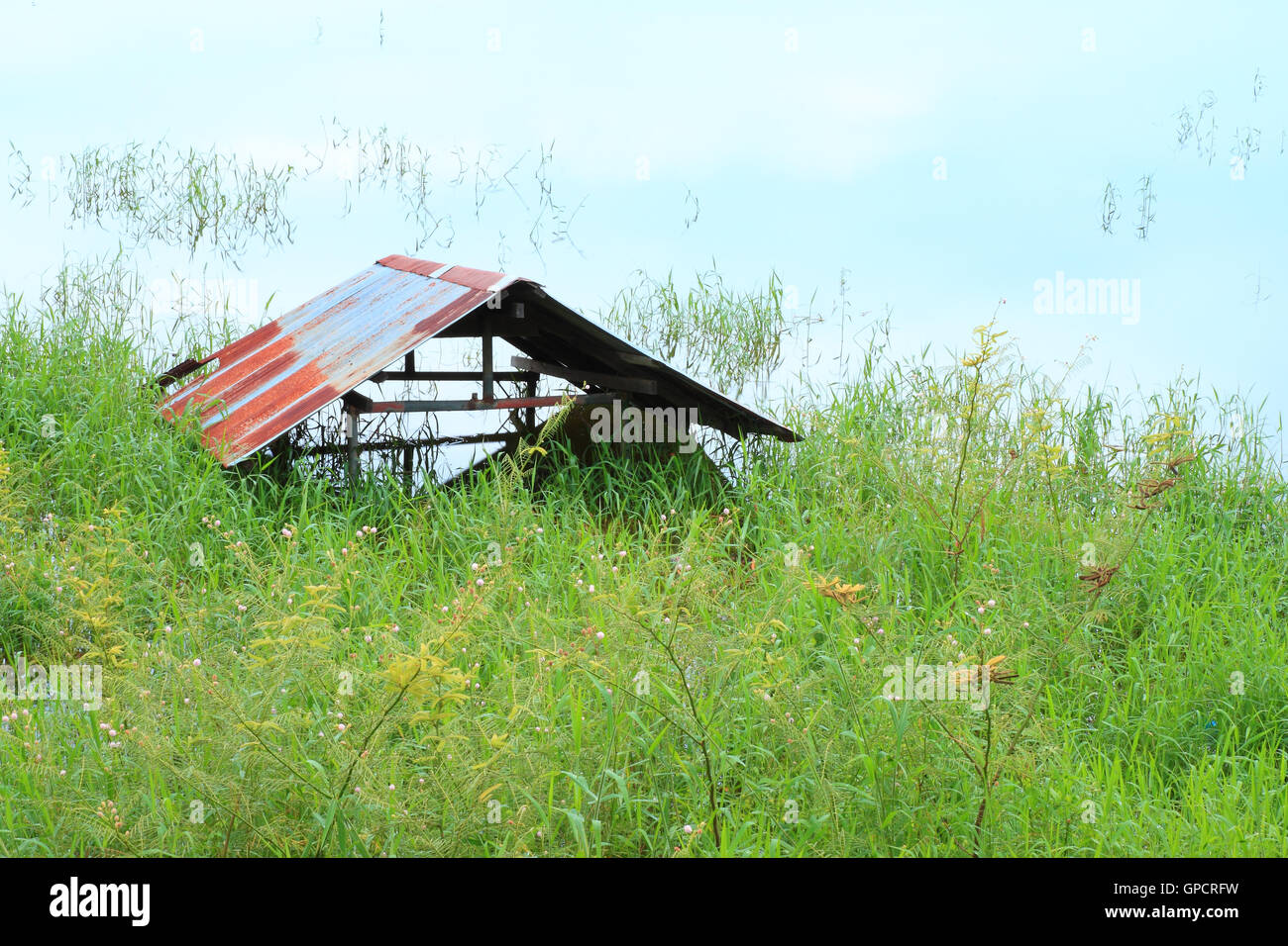 Zinc shack hi-res stock photography and images - Alamy