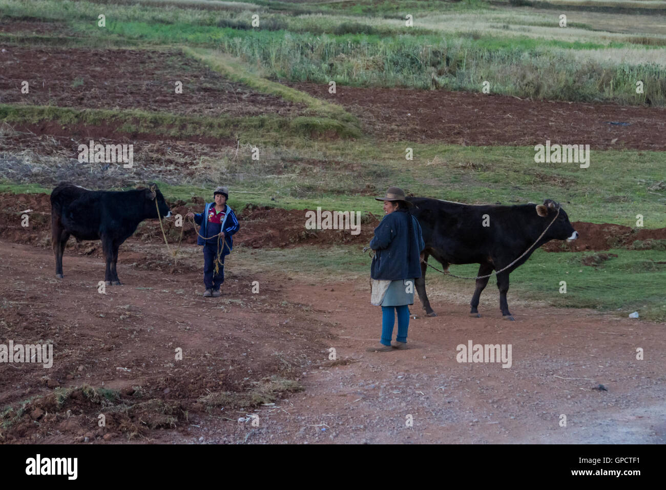 Peru - May 17 : Lifestyle of a family in rural Peru putting their ...