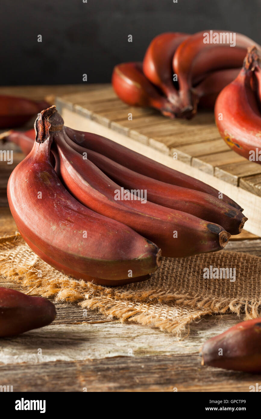 Jamaican Red Banana High Resolution Stock Photography and Images - Alamy