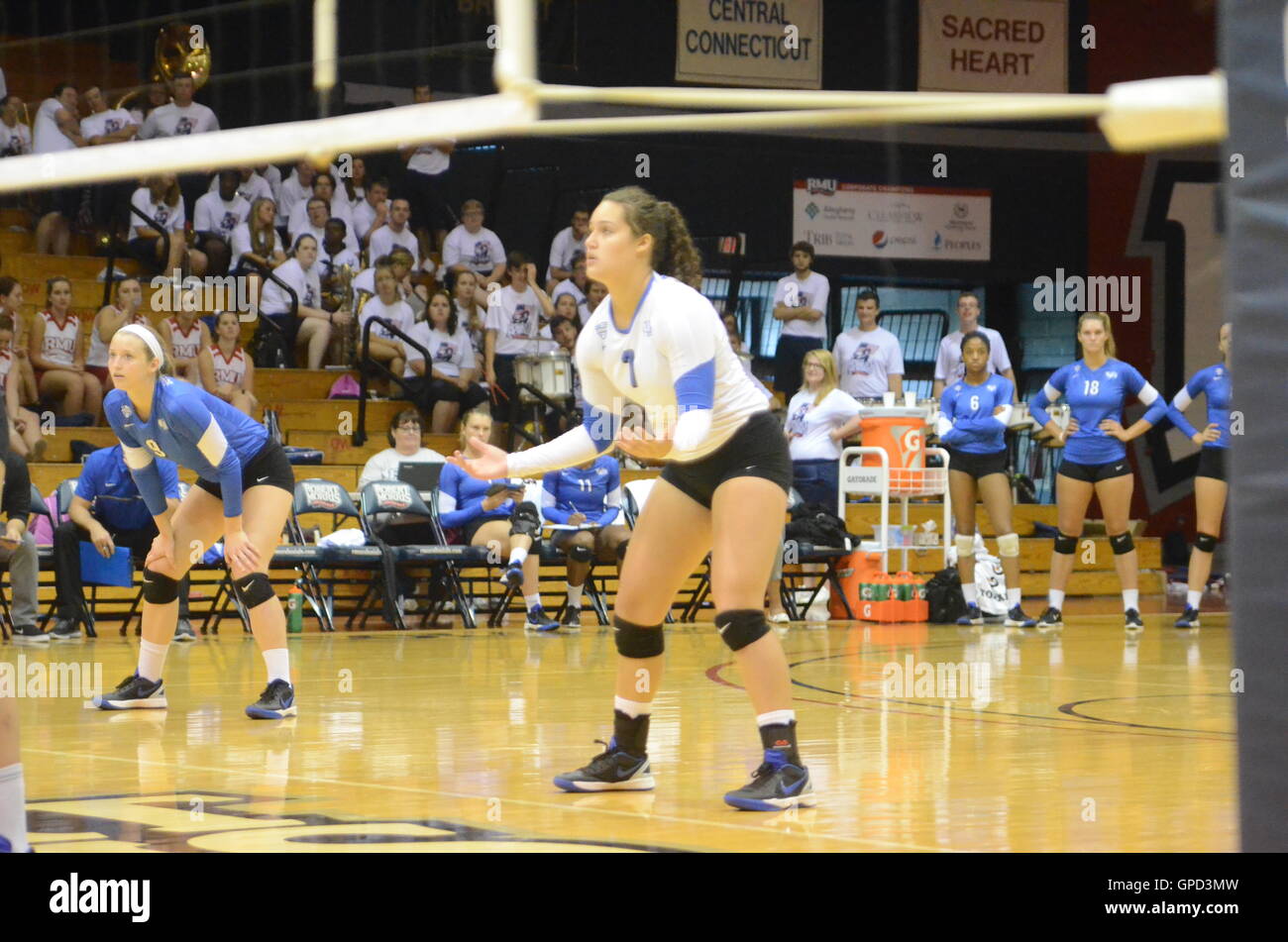 Robert Morris V Buffalo womens volleyball Stock Photo - Alamy