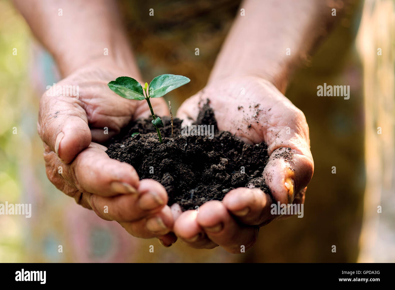 Affect on ozone layer hi-res stock photography and images - Alamy