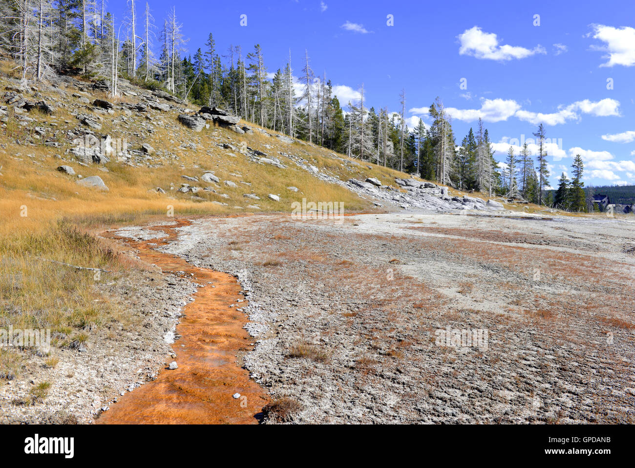 Geothermal activity at Yellowstone National Park, Wyoming, USA Stock ...