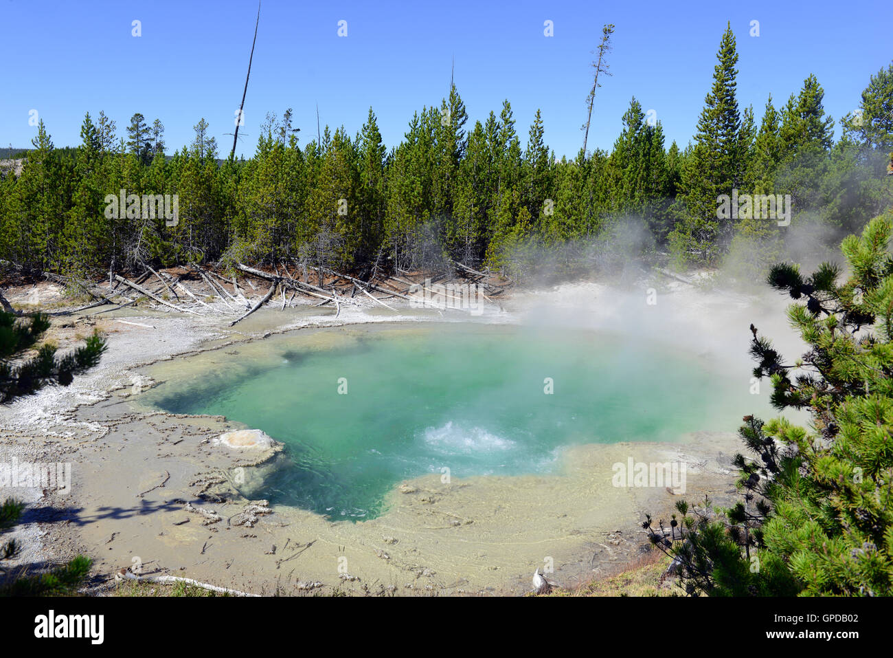 Geothermal activity at Yellowstone National Park, Wyoming, USA Stock ...