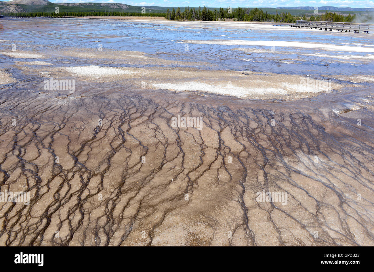 Geothermal activity at Yellowstone National Park, Wyoming, USA Stock ...