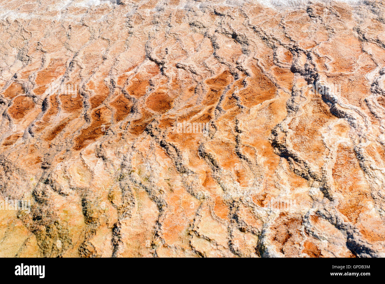 Geothermal activity at Yellowstone National Park, Wyoming, USA Stock ...