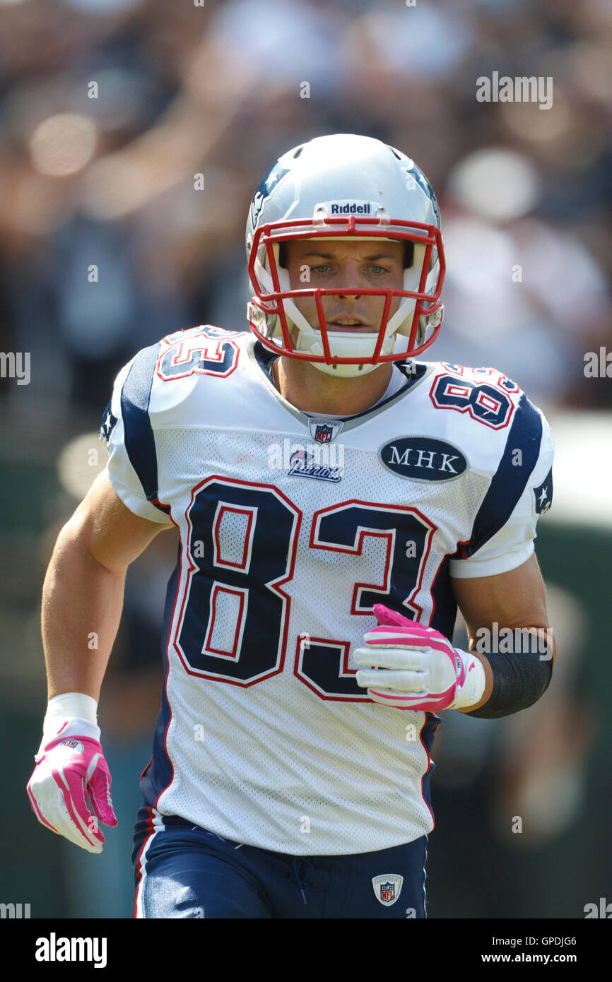 Wes Welker Diving Catch